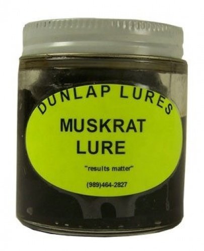 Dunlap's Muskrat Lure (1 oz.) – Strong Musky Odor Attracts Muskrats ...