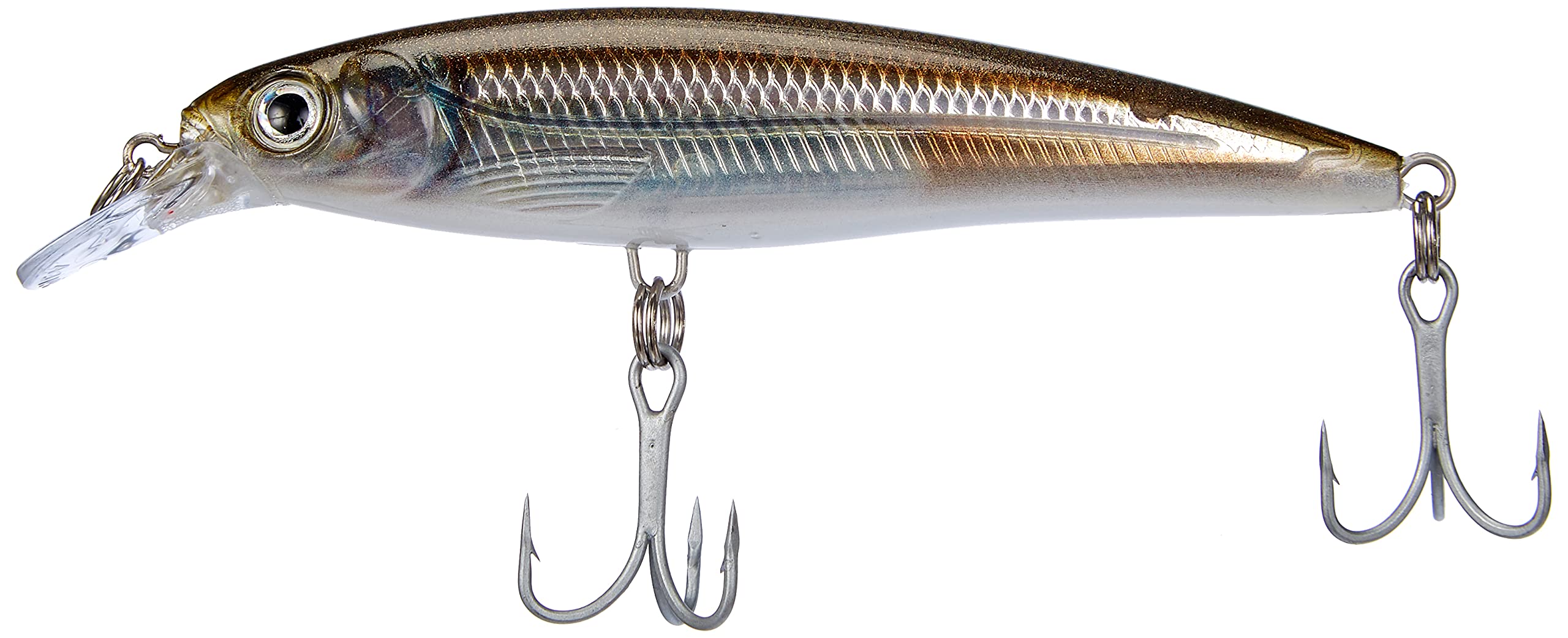 Rapala X-Rap Saltwater 10 Mangrove Minnow – High-Performance Saltwater ...